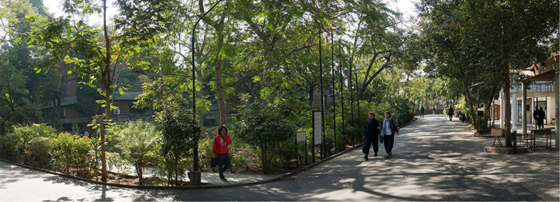 National Institute of Design